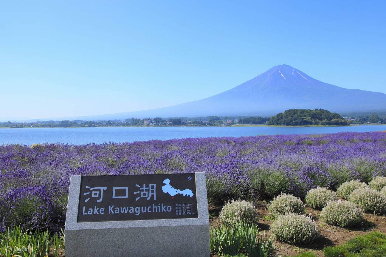 Mount Fuji, Kawakuchiko, and Arakurayama Sengen Park Join In Bus Tour ...